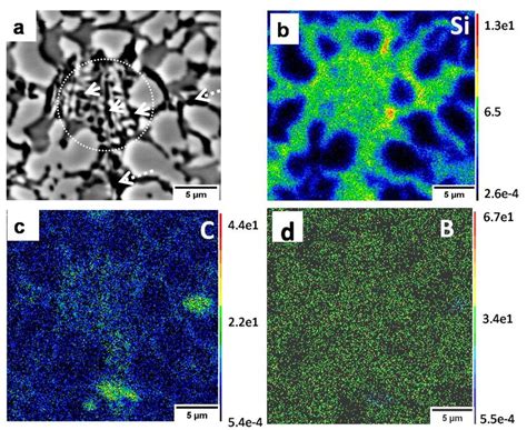 A Bse Image X Ray Maps For B Si C C And D B Obtained From