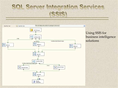 Sql Server Portfolio Ppt