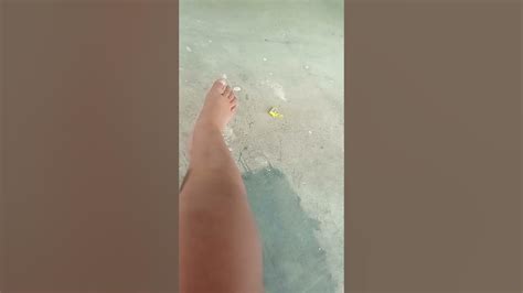 22 February 2025 Youtube