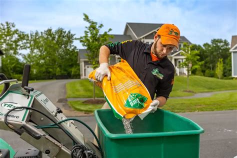 How To Fix An Over Fertilized Lawn Signs And Next Steps Turfs Up