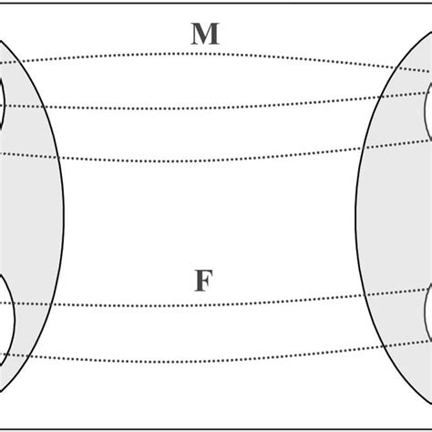 Schematic Representation Of The Concept Of Measurement Download