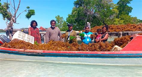 Monitoring Of Cdf Projects In South Choiseul Constituency Successful My Sig Services Portal