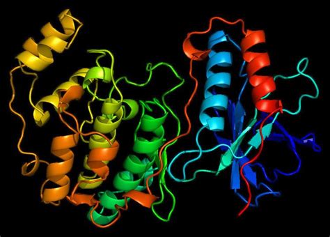 Mapk14 Alchetron The Free Social Encyclopedia