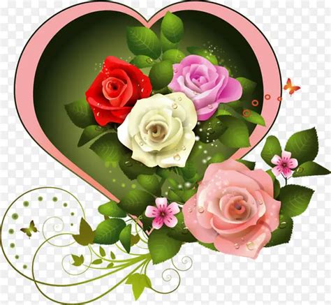 卡通永生花礼盒婚庆png图片素材下载图片编号qllbejwq 免抠素材网