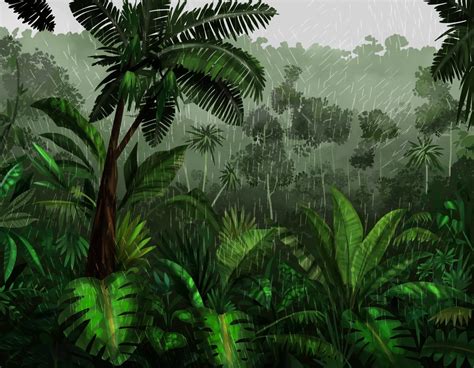 Guide To Drawing A Jungle Landscape Blog Dessindigo