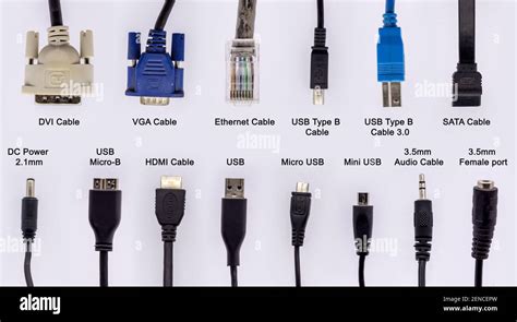 Different Types Of Power Connectors In Computer At Denise Glenn Blog