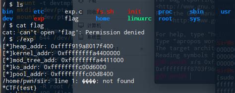 linux kernel exploit 内核漏洞学习 4 rw any memory sir