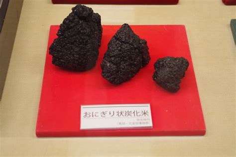しま 古代米酒探訪 on Twitter RT hirahaku 今日から3月ですね3月の別称は弥生というわけで当館に展示して