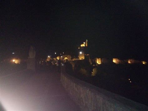 Svilena Venkova Dimitrova