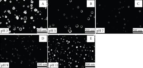 Effect Of Different Ph Values A Ph 3 B Ph 5 C Ph 7 D Ph 9 And E Download Scientific