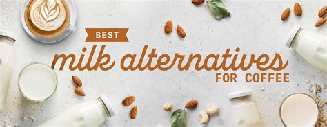 Easy Homemade Milk Alternatives for the Best Coffee Experience
