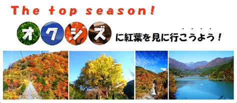 秋だ！ 紅葉だ！ オクシズだぁ～！！！ オクシズ推シニュース オクシズ推シ オクシズ 静岡市中山間地域 奥静岡