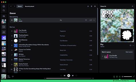 Return Expanded Queue View Not Only Sidebar For The Spotify Community