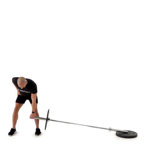 Plank Twist Trainwell