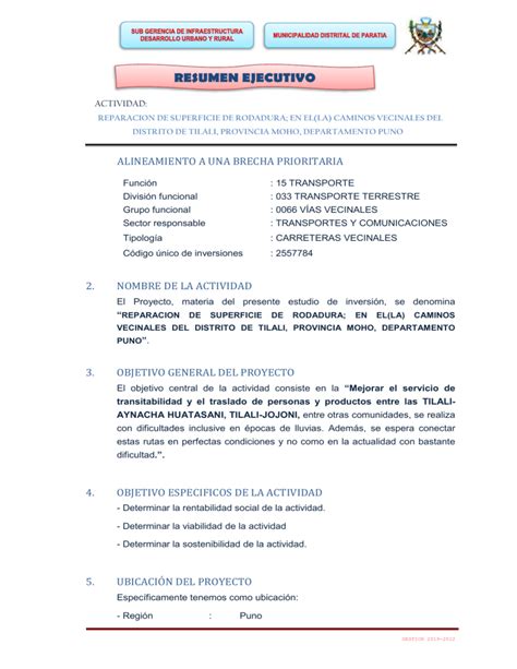 1 Resumen Ejecutivo