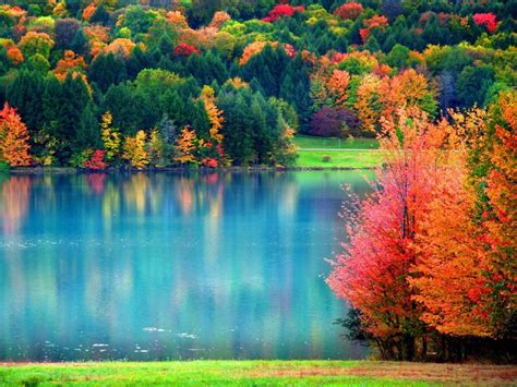 300 Fall Backgrounds