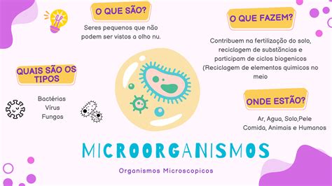 Mapa Mental Microrganismos Nel 2024