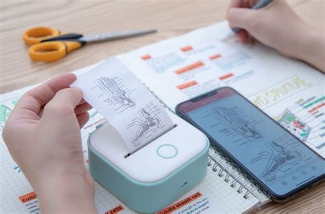 33％割引超ポイントアップ祭 Phomemo Pocket Printer その他 アクセサリー Otaonarenanejp