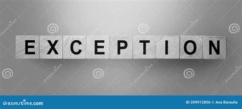 Exception Meaning