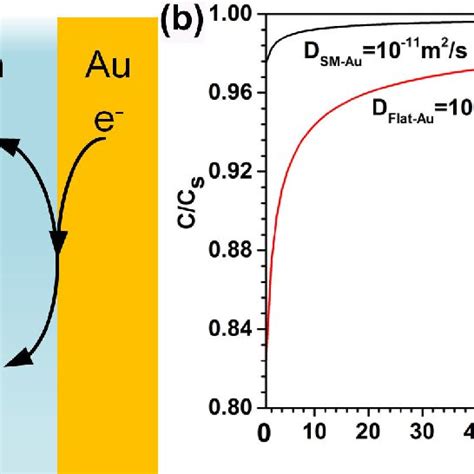 Model For The Diffusion Controlled Electrochemical Process Of The