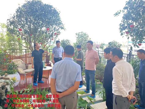 湖北荆门漳河新区管委会、自然资源局、农业水利局、城华置业、人福医药、可可农业、小乐仙餐饮、鸿秀文旅、青岛黄岛区自然资源局 、青岛鲁泽置业集团