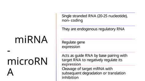 Biological Macromolecule Nucleic Acidspptx