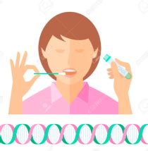 Estrogen Metabolism Gene Testing Better Estrogen