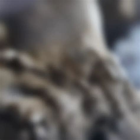 Rfid Human Tracking Insights And Ethical Implications