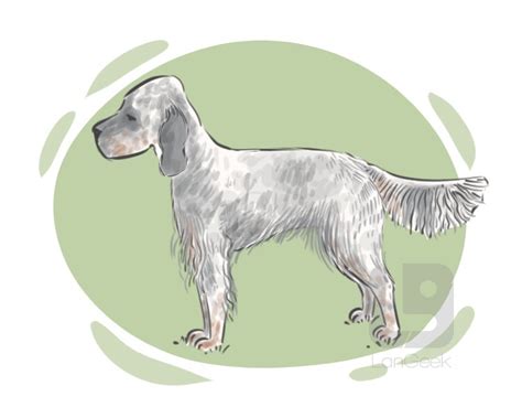 Definition And Meaning Of Setter Langeek