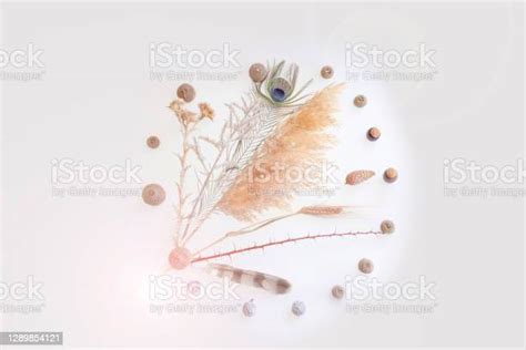 숲과 산에서 발견되는 천연 소재로 만든 창의적인 장식 공예품 거북이 둥지에 대한 스톡 사진 및 기타 이미지 거북이 둥지