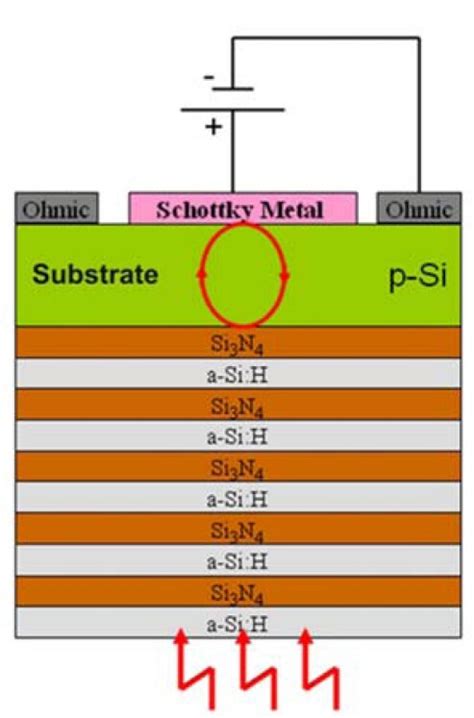 Schematic Cross Section Of The Photodetector Proposed By Casalino Et