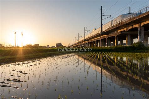 鉄道風景写真が撮りたーいっ！ 裏と表
