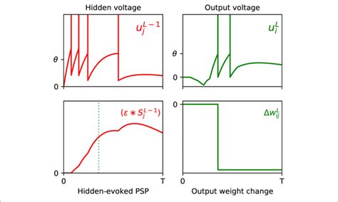 Example Of The Weight Update Process With Respect To The Output Download Scientific Diagram