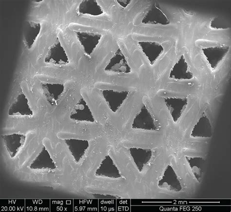 Ac Surface Morphologies Of 3d Printed Porous Titanium Alloy