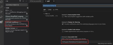 Vs Code Fortran Language Serve安装fortran Language Server Csdn博客