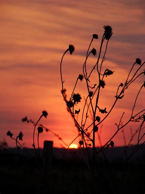 Skylines By Mon Etoile Filante On Deviantart