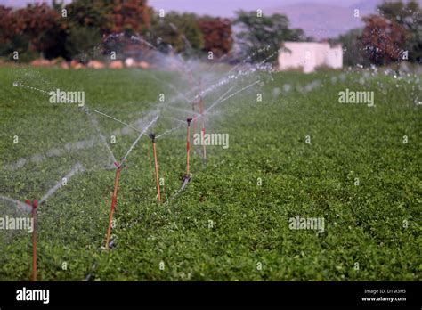 Water Sprinkler In A Field Andhra Pradesh South India Stock Photo Alamy