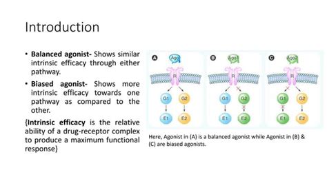 Biased Agonism Ppt