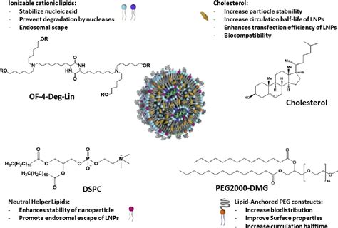 Figure 1 From An Overview Of The Use Of Nanoparticles In Vaccine