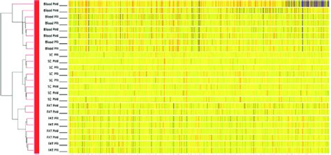 Hierarchical Clustering Of Gene Expression Profiles Revealed Three Download Scientific Diagram