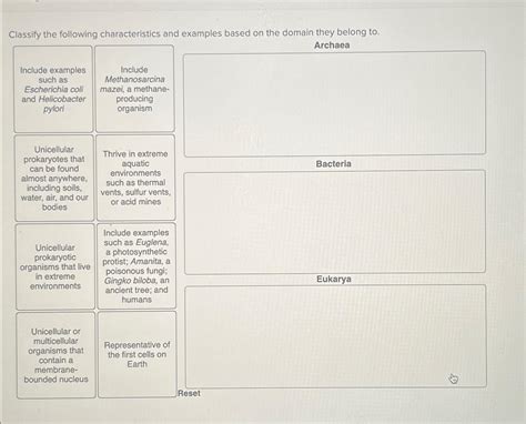Solved Classify The Following Characteristics And Examples