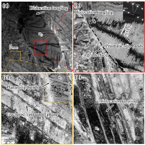 Deformation Behavior Of The Tensile Specimen With The Em A