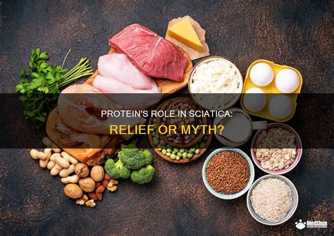 Proteins Role In Sciatica Relief Or Myth Medshun