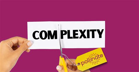 Managing Through Complexity Why Mentoring Matters
