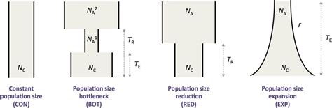 demographic models investigated by approximate bayesian computation
