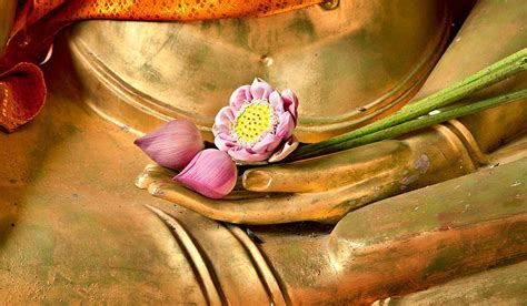 Glimpses Of The Divine Mother Himalayan Institute Online