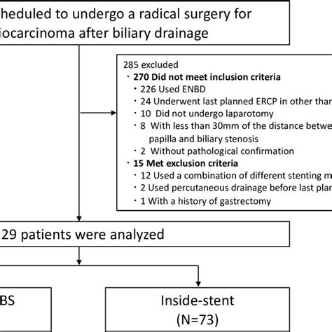 Strategies Used For Endoscopic Biliary Drainage During The Waiting Time Download Scientific