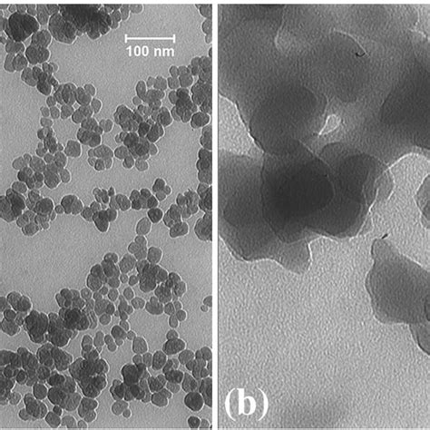 Magnetization Curves Of Magnetic Iron Oxide Nanoparticles Mnps A