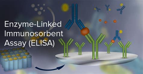 The Benchmark Of Immunoassays Is Enzyme Linked Immunosorbent Assay Ignite