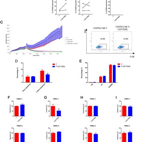 Cd7 Protein In Normal Donor Peripheral Blood T Cells A After